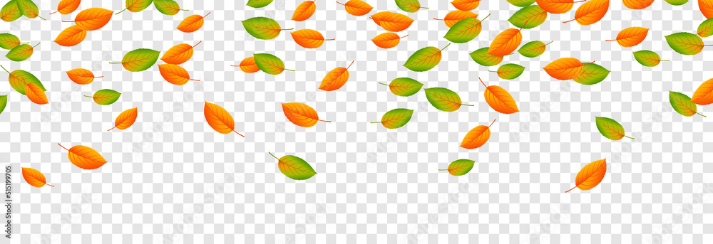 Vector leaf fall on an isolated transparent background. Autumn, the ...