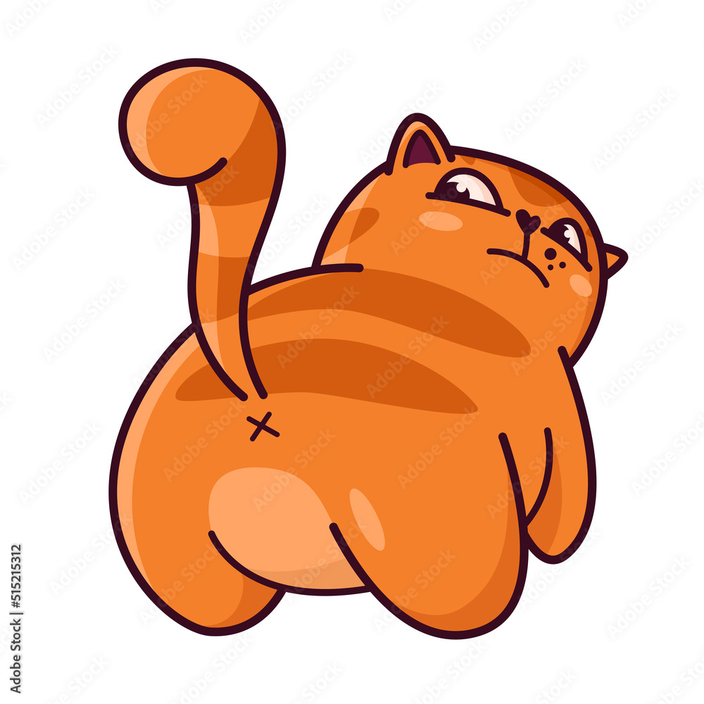 Cute red cat shows his ass. Demonstrates emotions, I'm leaving, kiss my ...
