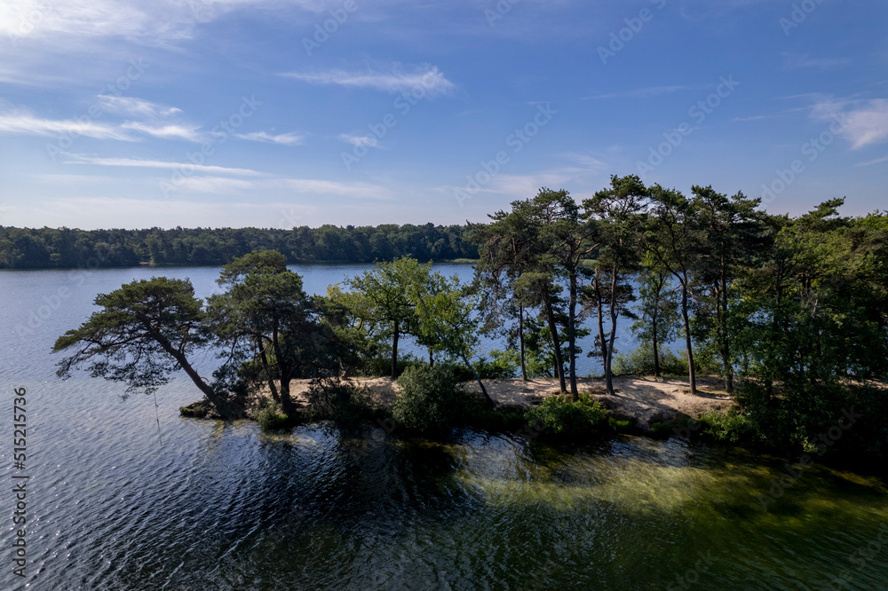 Pine trees sticking out slanted on the shore of IJzeren Man lake ...