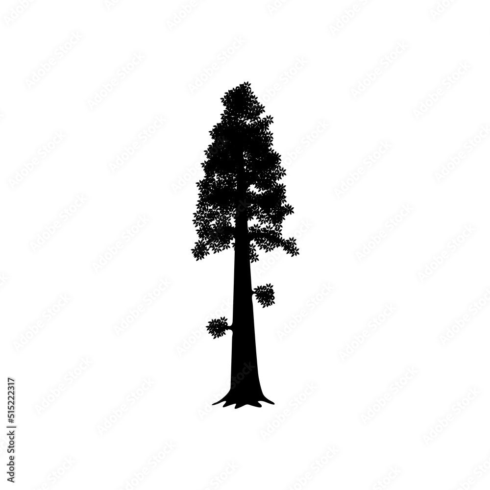Giant Sequoia tree Silhouette vector vector de Stock | Adobe Stock
