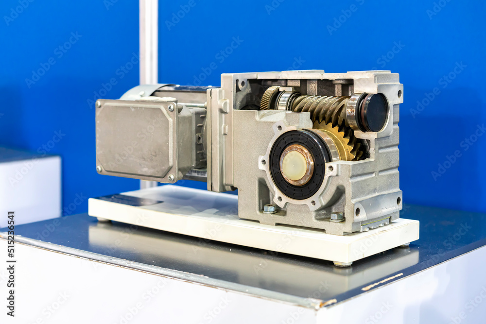 Plakat cross section show metal helical gear or cogs gear bearing ...