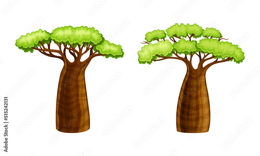 African baobab trees. Powerful plant with green foliage cartoon vector ...