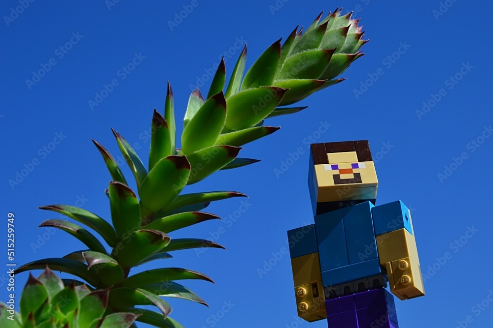 LEGO Minecraft large figure of Steve standing in epic smiling position ...