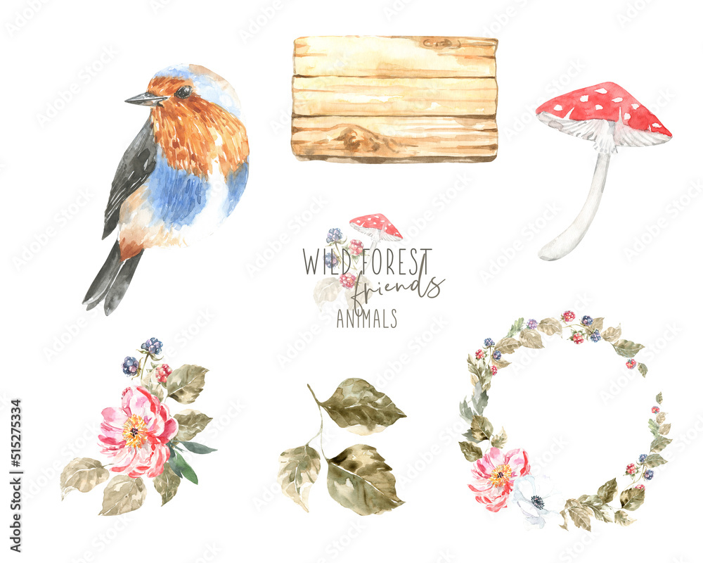 Watercolor woodland animal set of forest isolated cute animal and flora ...