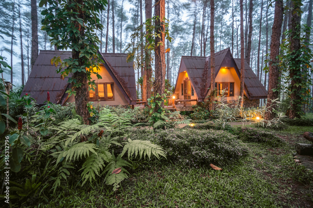 Pinewood cabin in pine forest green on nature trail. Wooden house or ...