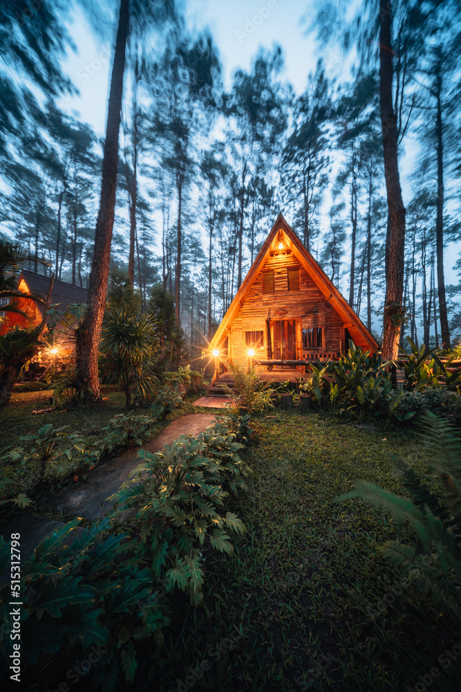 Poster Pinewood cabin in pine forest green on nature trail – Wall Art ...
