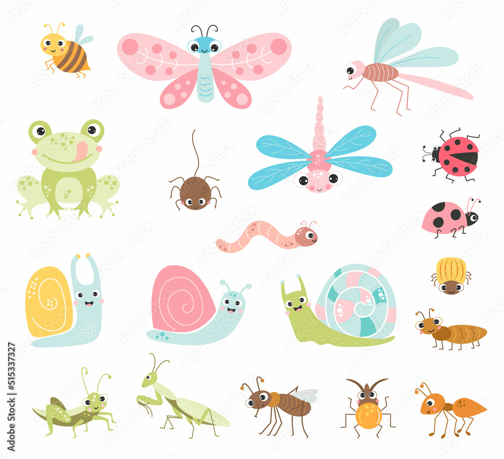 Arthropod Insects Invertabrae