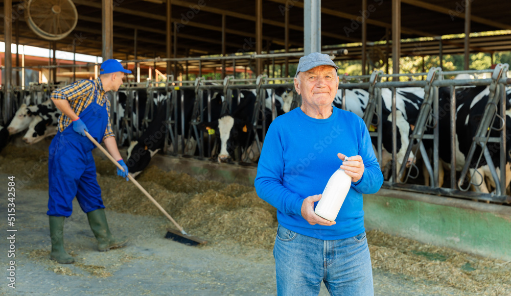 Elderly owner of cow farm with bottle of milk standing in stall on ...