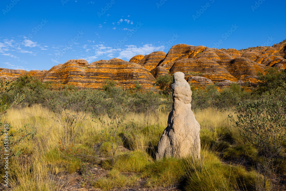 Termite mound and banded beehive shaped sandstone formations at the ...