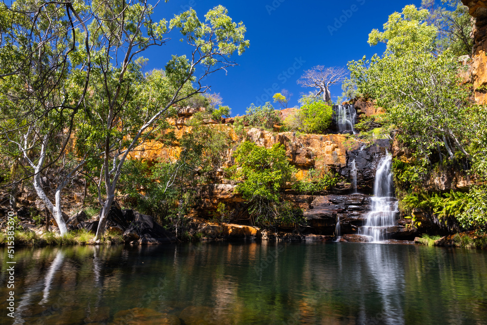 Idyllic Billabong with waterfall and Boab tree at Galvans Gorge in the ...