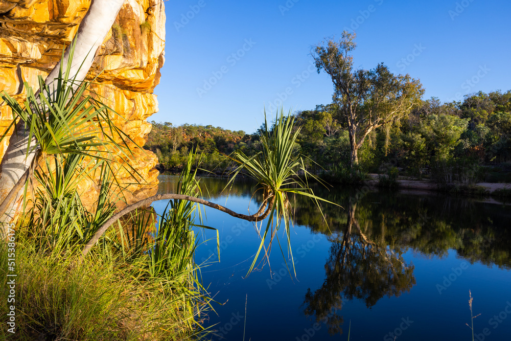 View over the Billabong at Manning Creek along the Gibb River Road, in ...