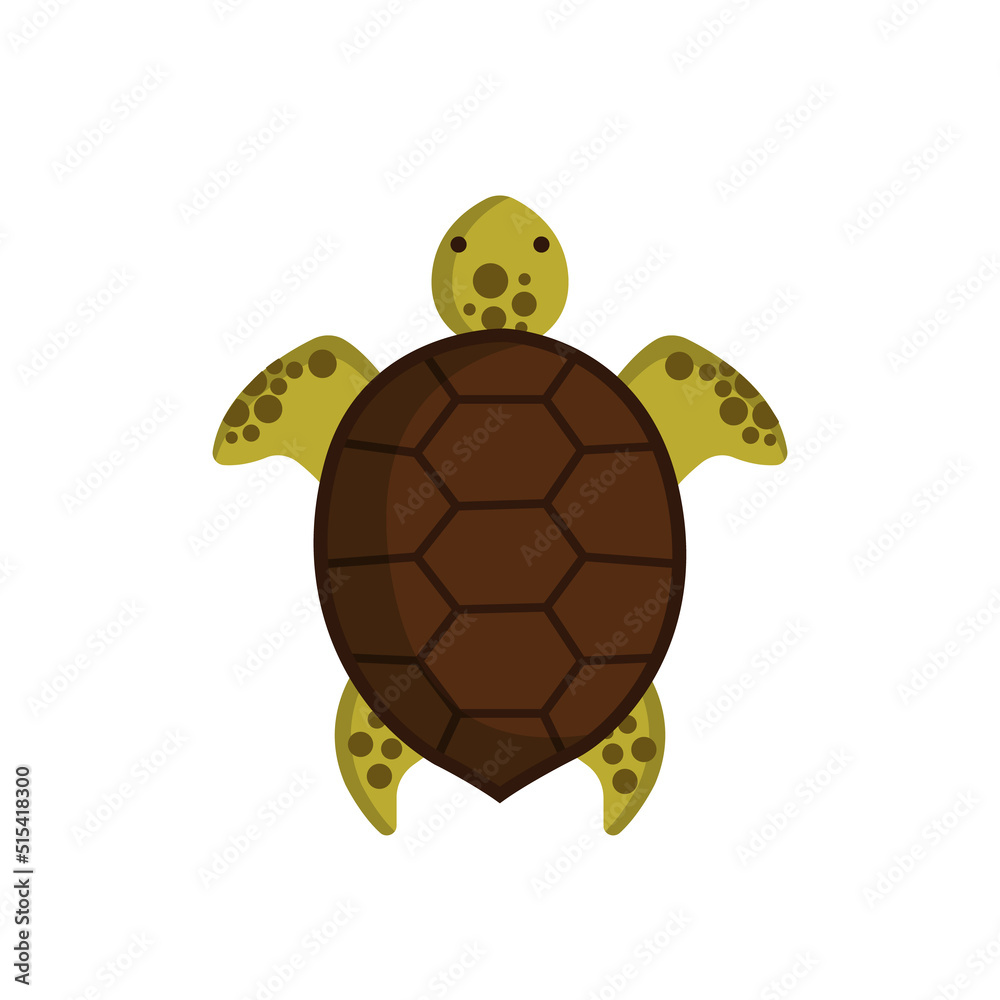 Turtle top view isolated on white background.Turtle icon. Marine life ...