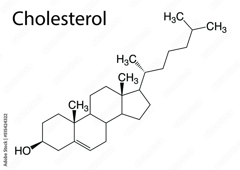 Digital vector illustration of the chemical structure of cholesterol ...