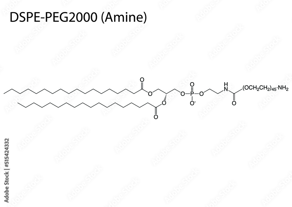 Digital vector illustration of the chemical structure of the Amine DSPE-PEG2000 Stock Vector ...