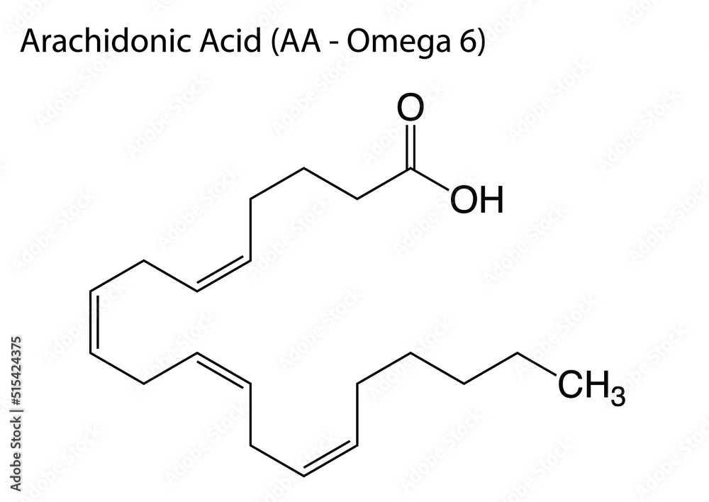 Digital vector illustration of the chemical structure of Arachidonic ...