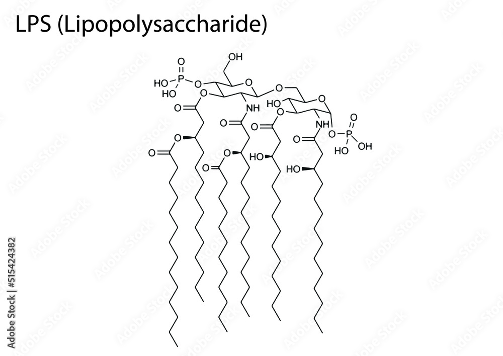 Digital vector illustration of the chemical structure of a ...