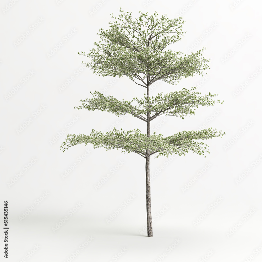 3d illustration of tree isolated on white background Stock Illustration ...