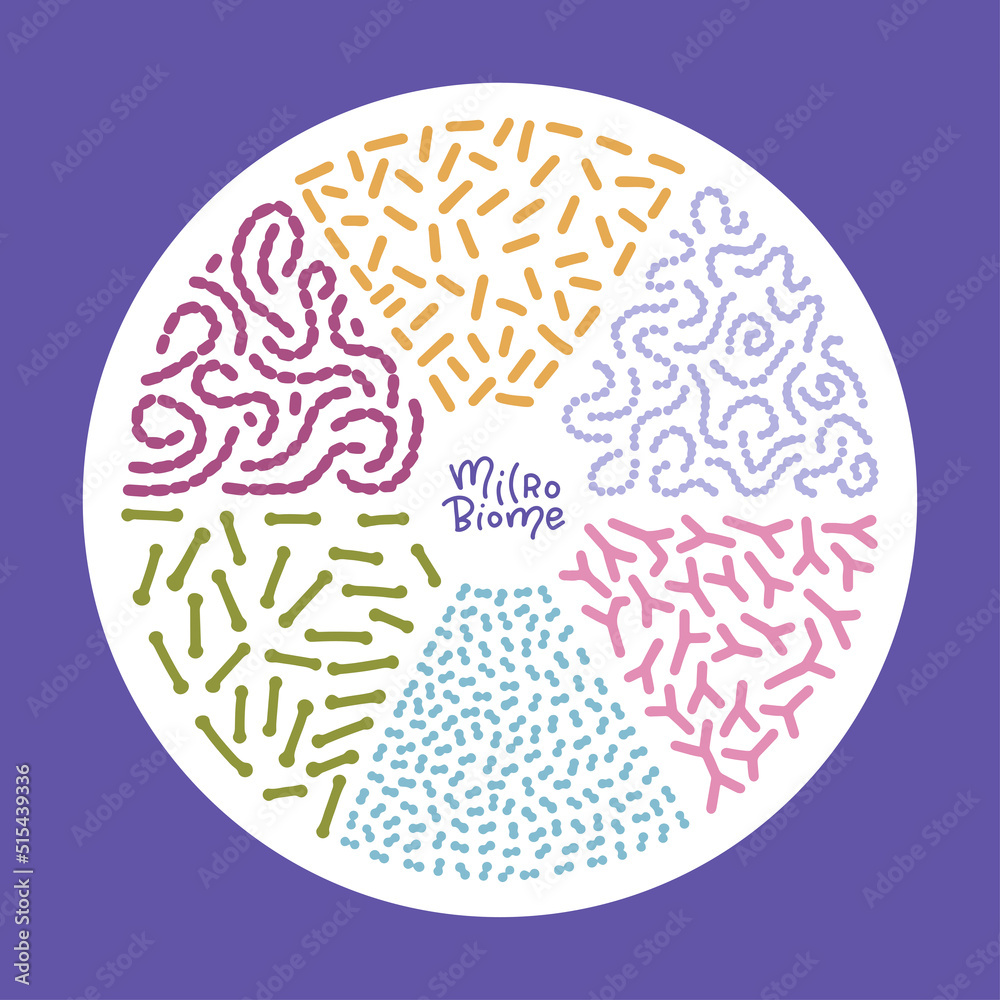 Set of different types of good bacterias of human microbiome on circle ...