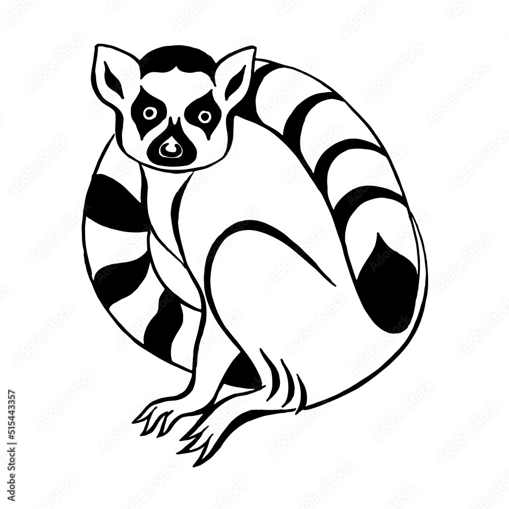 Vector ink drawing of ring-tailed lemur. Cute lemur stylized outline ...