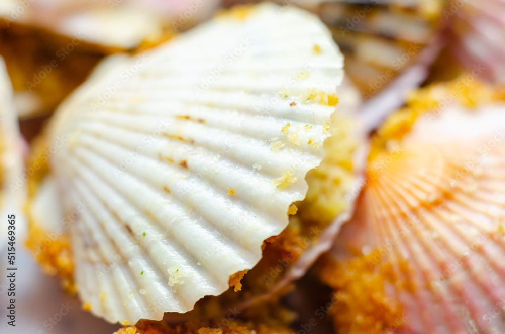 Mini coquilles St. Jacques, Natural scallop shells filled with ...