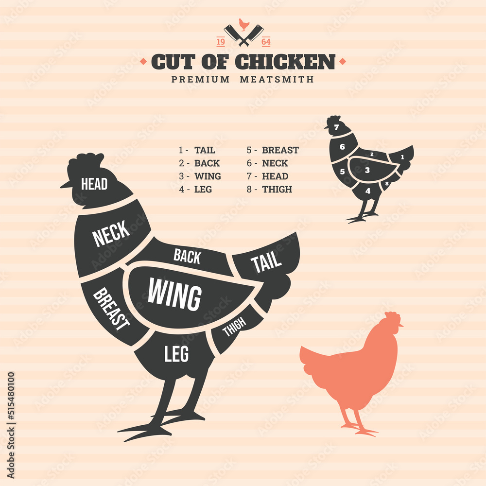 Hen of pork. Vector illustration of chicken on a colored background ...