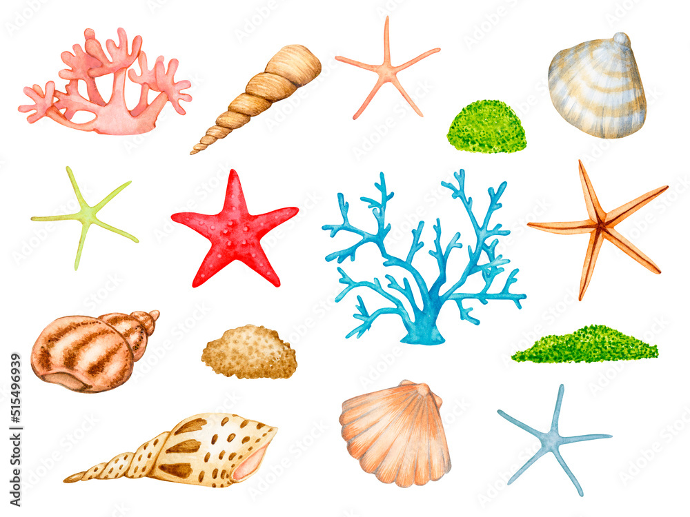 Large set of sea, ocean, aquarium, marine watercolor elements. Shells ...