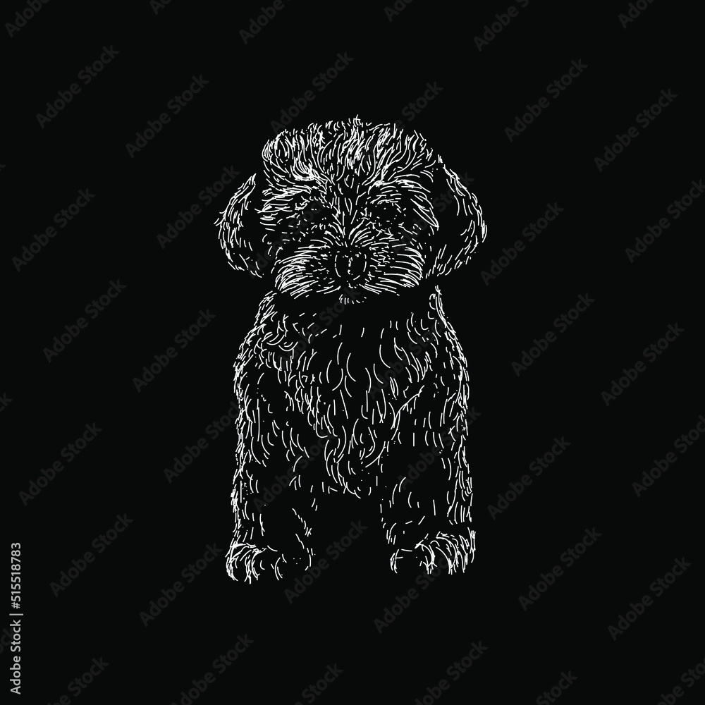 Yorkie-poo hand drawing vector illustration isolated on black ...