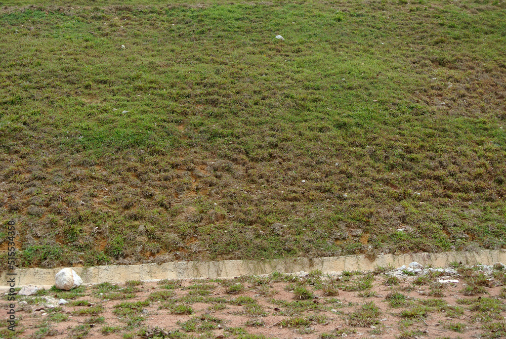 Permanent slope protection with grass using the hydroseed method. The ...