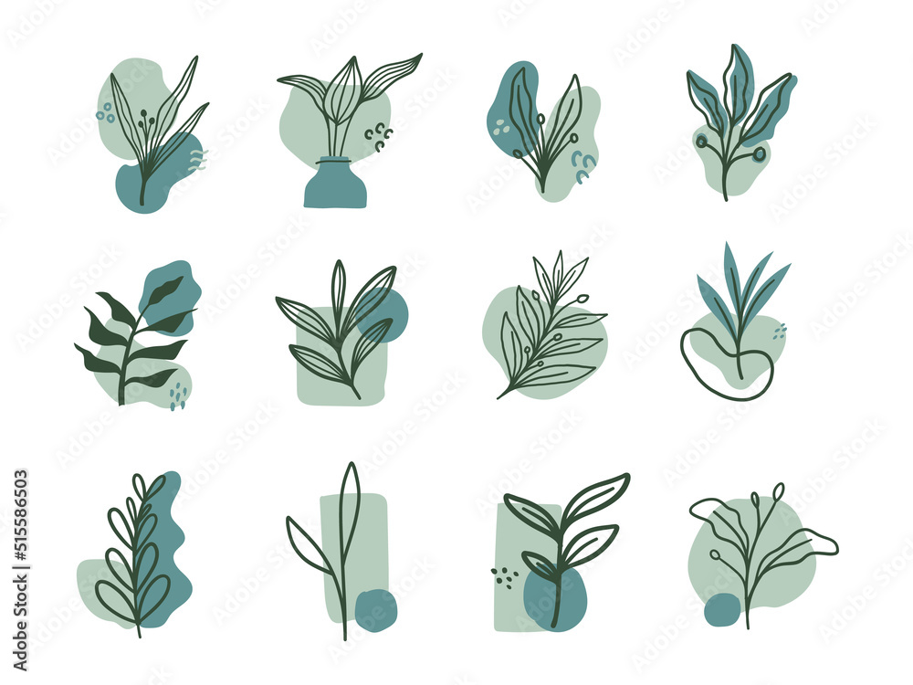 Abstract botanical plant. Fluid organic shapes. Modern shape line art ...