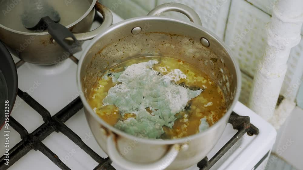 moldy soup. thick layer of mold on food. pot with rotten food. mushroom ...