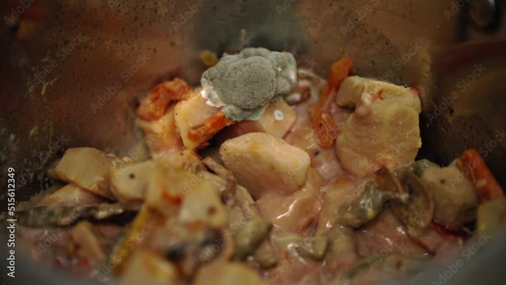 moldy soup. thick layer of mold on food. pot with rotten food. mushroom ...
