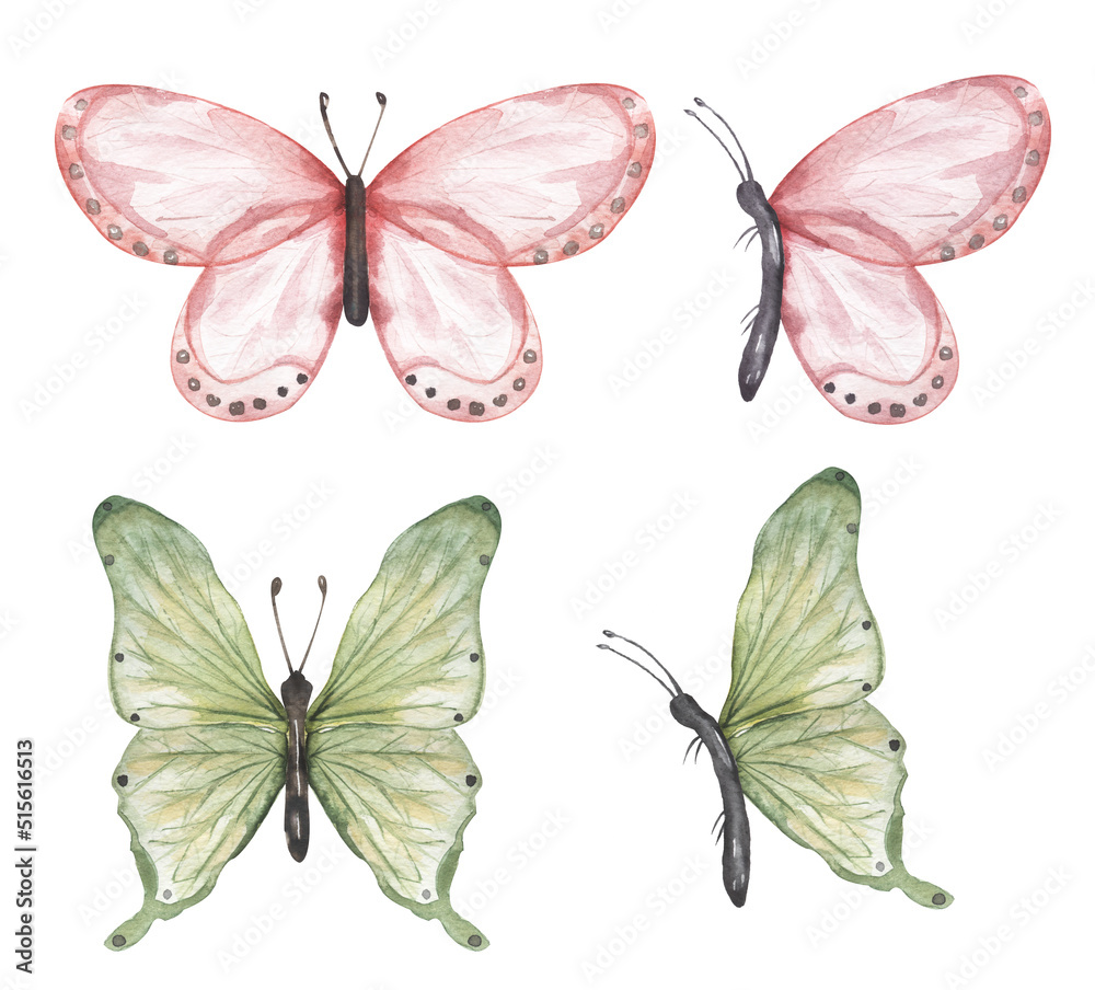 Delicate pink and green butterfly Clipart Set, Watercolor Insects ...