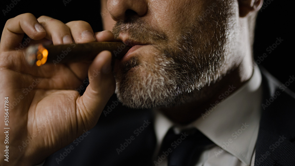 Powerful government member smoking cigar, self-importance, face close ...