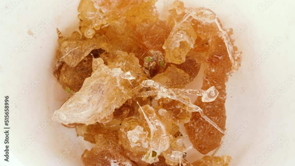 Real authentic Acacia gum (gum Arabic), that exudes from the Acacia ...