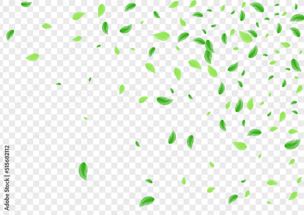 Green Greenery Background Transparent Vector. Leaf Sprout Card. Nature ...