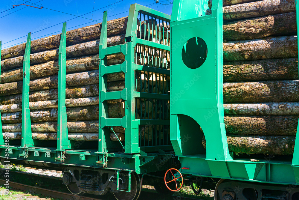 loaded railway wagons for transportation of logs close-up Stock Photo ...
