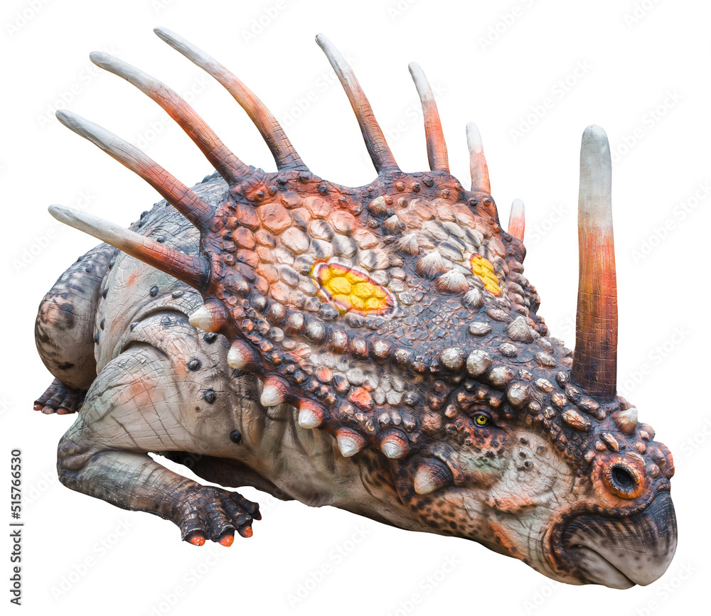 Styracosaurus is a genus of herbivorous ceratopsian dinosaur from the ...