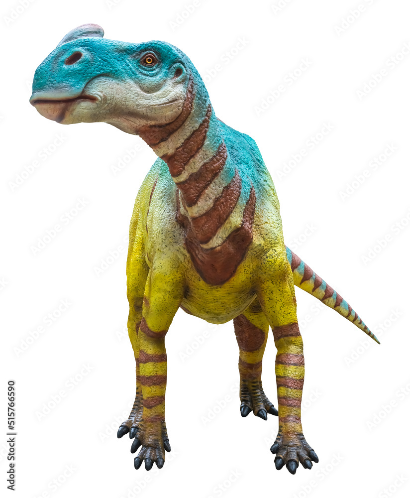 Aralosaurus was a herbivore genus of Hadrosaurid dinosaur that lived ...