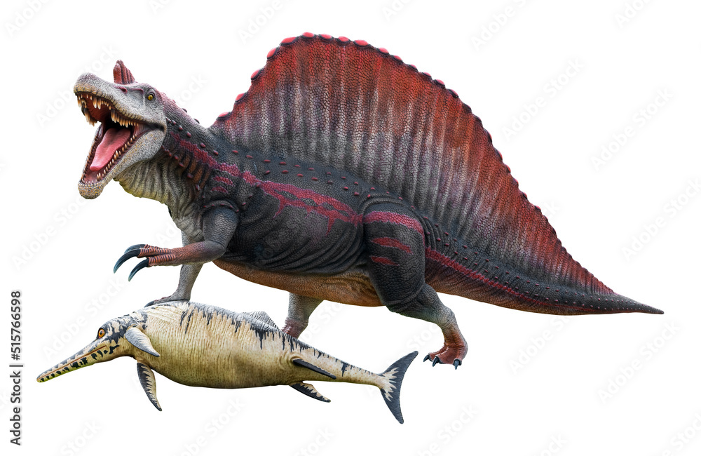 Oxalaia is a carnivore genus of Spinosaurid theropod dinosaur that ...