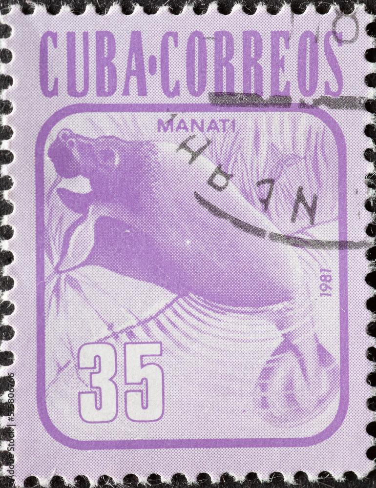 CUBA - CIRCA 1981: a postage stamp from CUBA, showing a West Indian ...