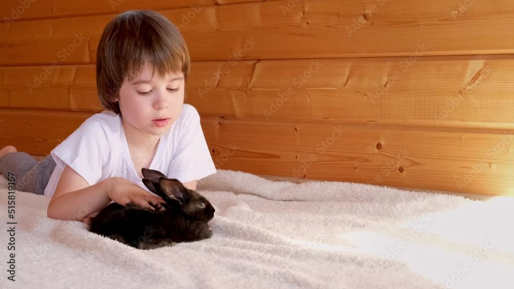 Vidéo Stock Child plays with the black rabbits. Boy and domestic ...