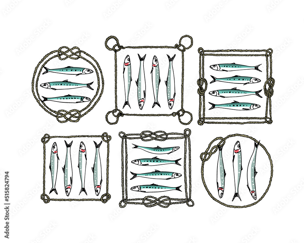 Vector card with hand drawn set of Sardines portraits in nautical rope ...