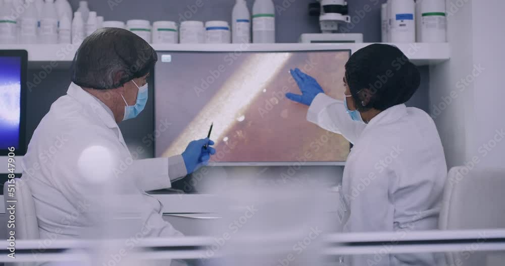 Two scientists looking at cells on a computer screen in a modern ...