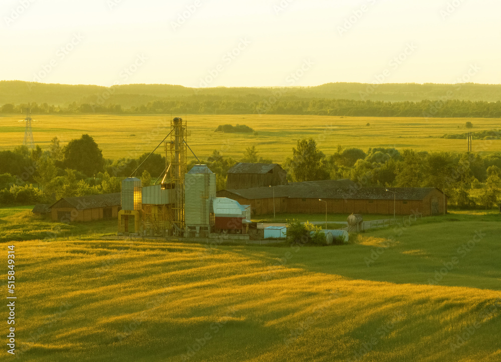 Grain processing plant on sunset. Processing and sifting corn and grain ...
