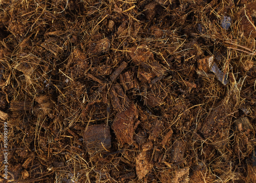 Coconut substrate close up. Coconut fiber background. Coconut fibers ...