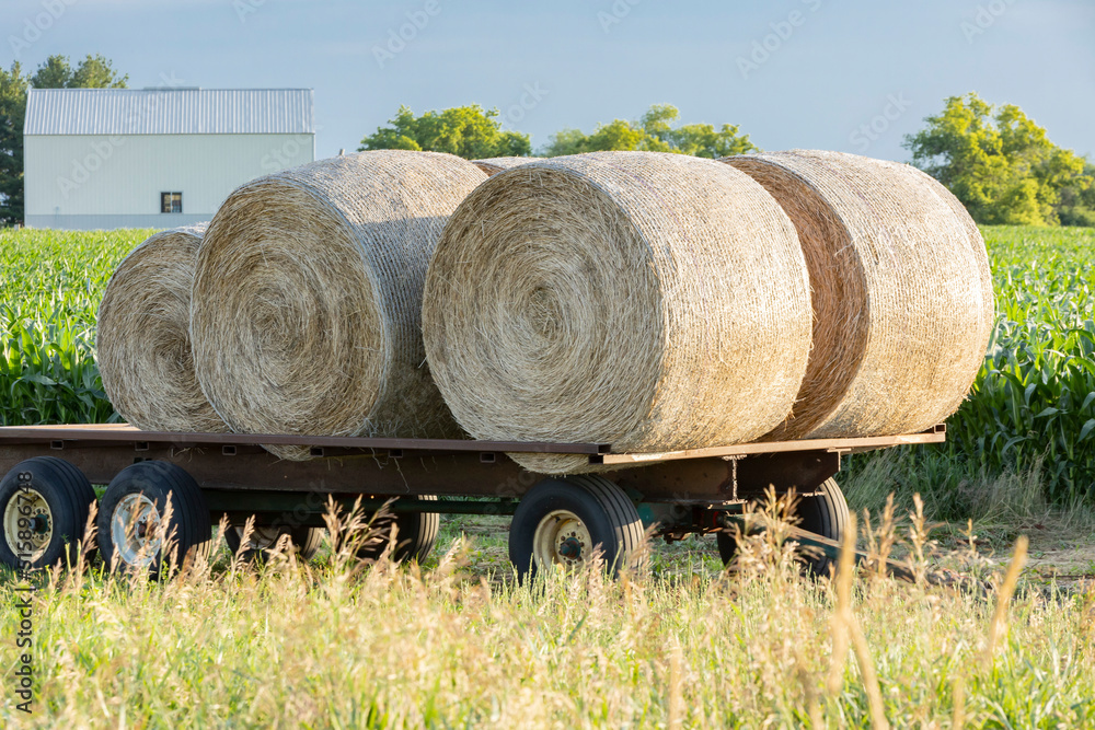 Mesh wrapped round bales of straw or hay on a flat rack wagon in a ...