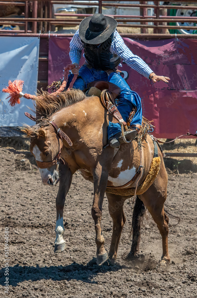 A rodeo cowboy is trying stay on a bucking bronco. He is leaning ...