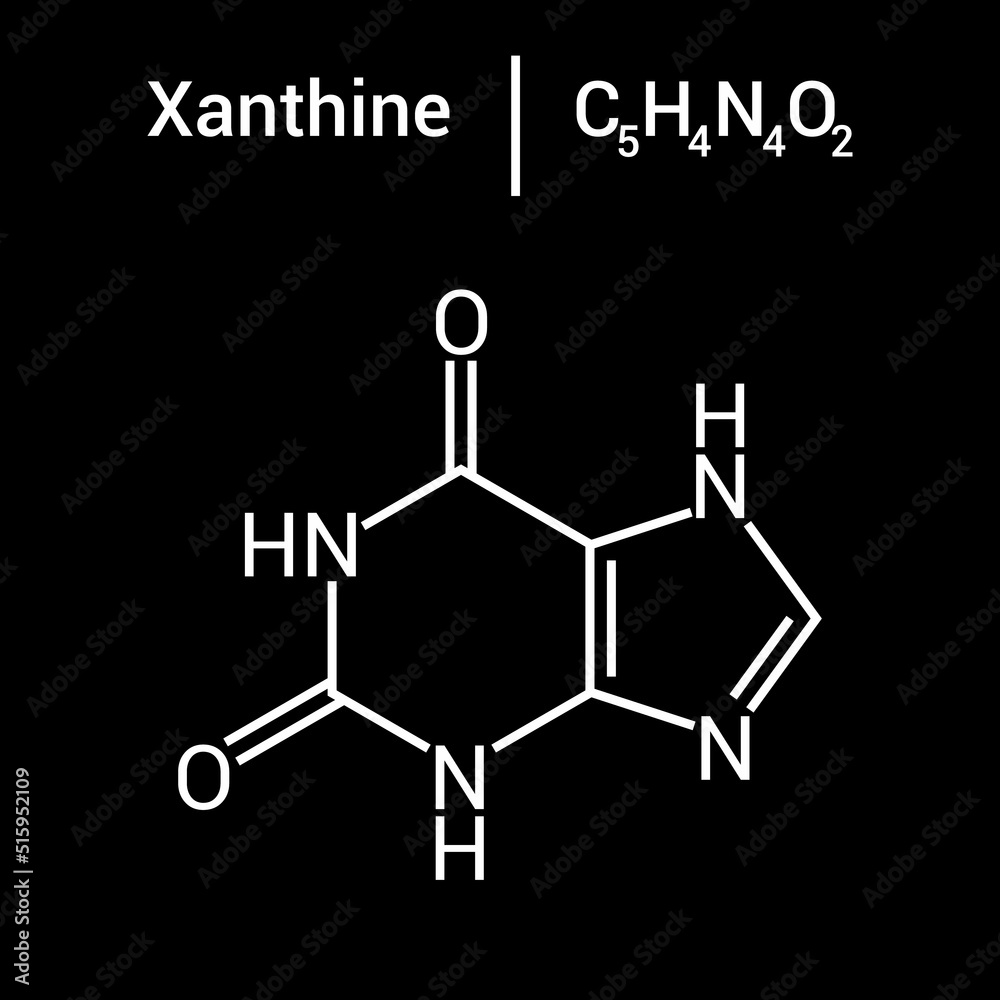 chemical structure of xanthine (C5H4N4O2) Stock Vector | Adobe Stock