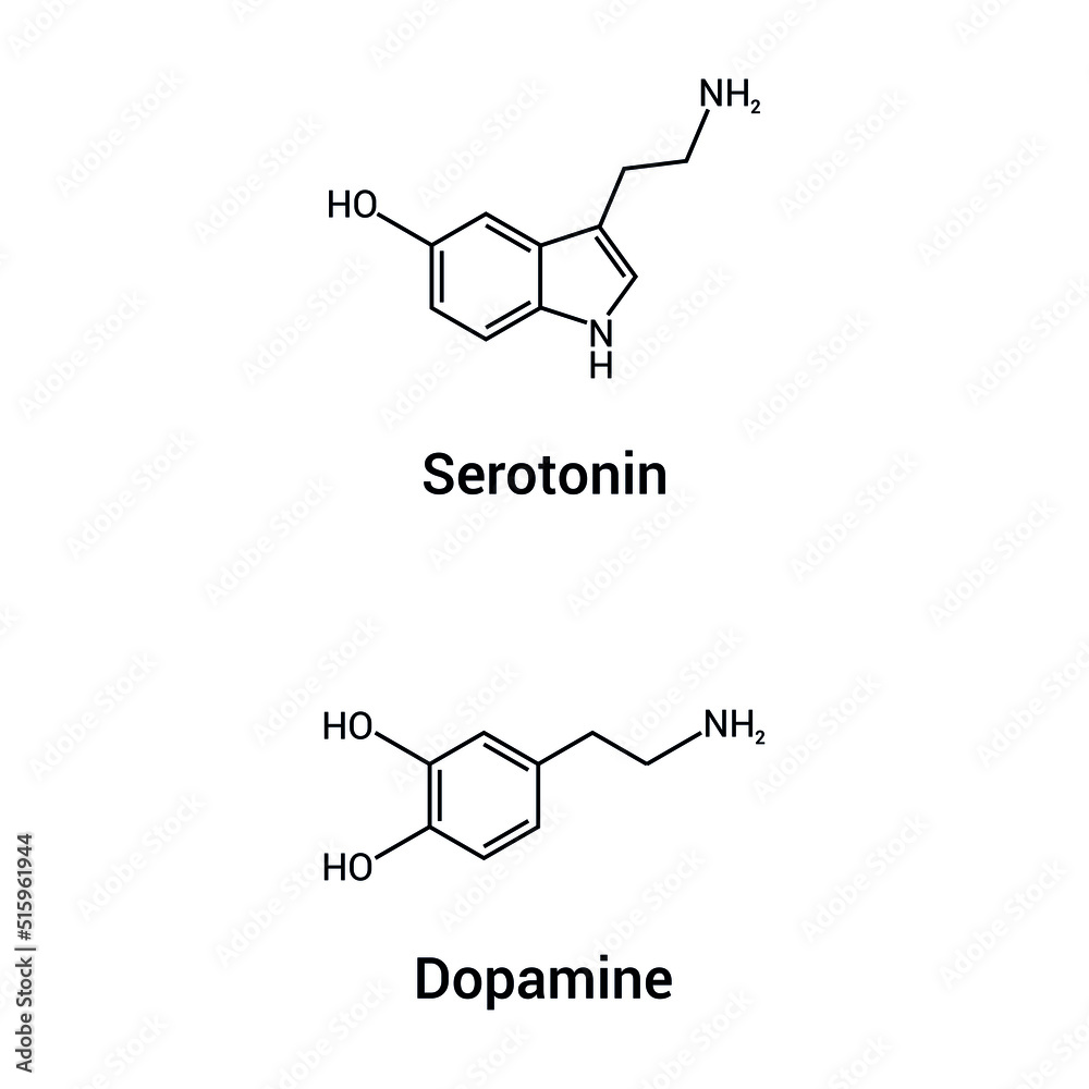 chemical structure of serotonin and dopamine Stock Vector | Adobe Stock