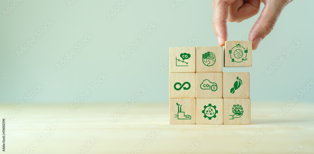 Growing sustainability. LCA-Life cycle assessment concept. Assessing ...